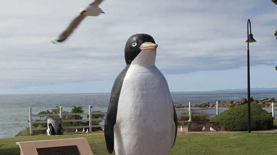 Penguin Schools | ACC Burnie Primary & High School